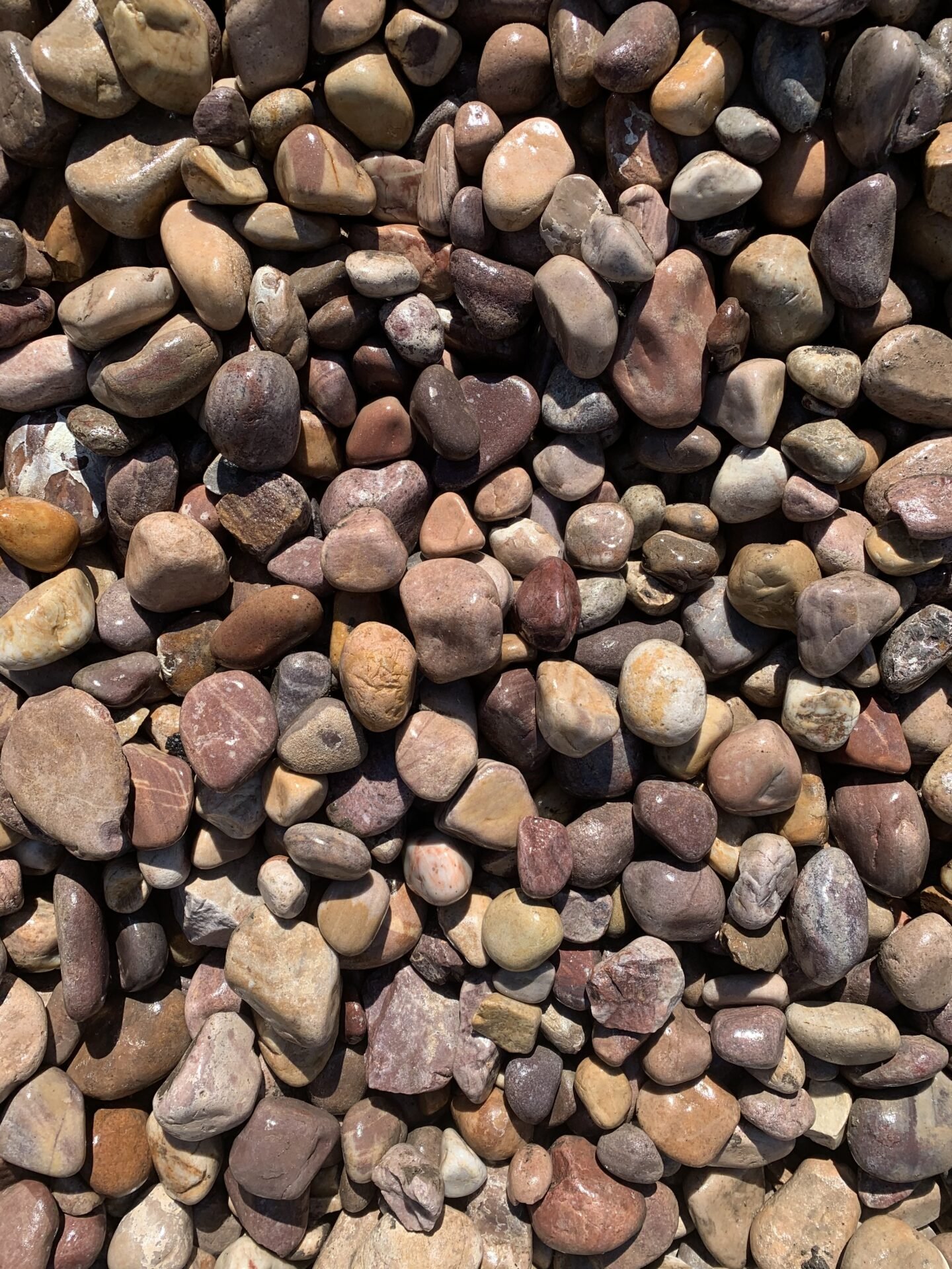 Oak Creek Cobble 2-4" - Utah Landscape Supply